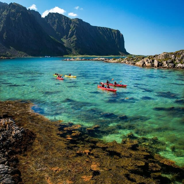 Lofoten: Full Day Kayak Tour - Overall Experience: Who Is It For?