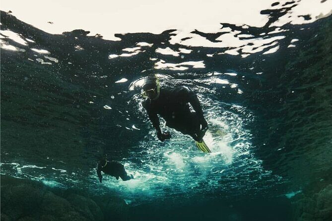 Lofoten Grand Canyon Snorkeling Tour - Practical Details and Considerations