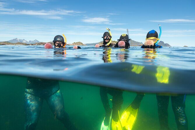 Lofoten Grand Canyon Snorkeling Tour - The Sum Up
