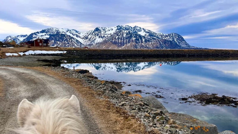 Lofoten: Guided Horse Riding Tour Over Hov and Hovsund - What Makes This Horse Riding Tour Stand Out?