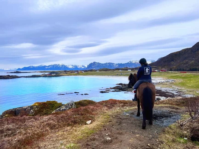 Lofoten: Guided Horse Riding Tour Over Hov and Hovsund - The Horse and Safety Experience