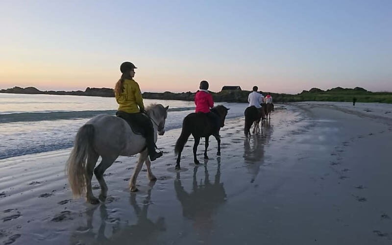 Lofoten: Guided Horse Riding Tour Over Hov and Hovsund - Practical Details and Value
