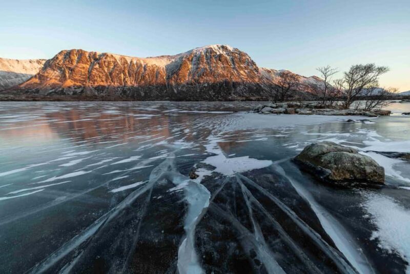 Lofoten: Half-Day Guided Tour with local guide Photo Stops - A Deep Dive Into the Experience
