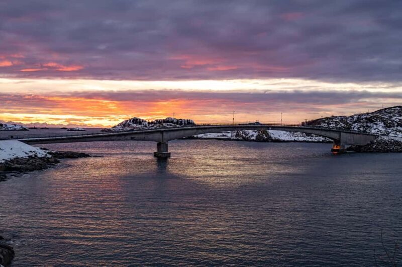 Lofoten: Half-Day Guided Tour with local guide Photo Stops - Is This Tour Worth the Price?