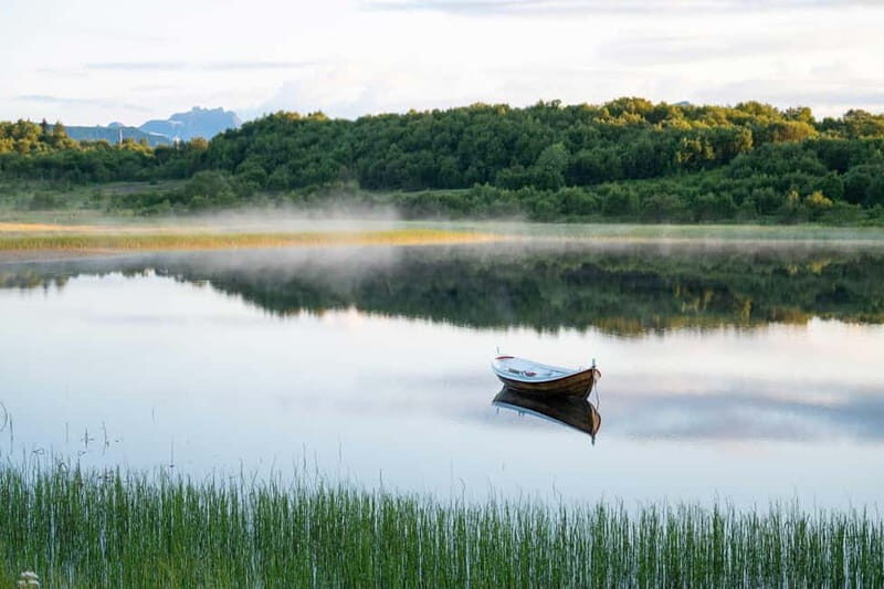 Lofoten: Half-Day Guided Tour with Photo Stops - What You Can Expect from This Lofoten Tour