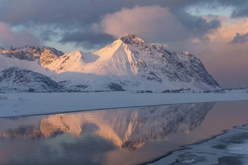 Lofoten: Half-Day Guided Tour with Photo Stops - The Sum Up