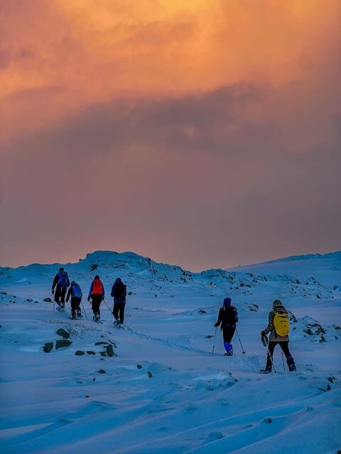Lofoten: Half Day Snowshoe Tour - Key Points