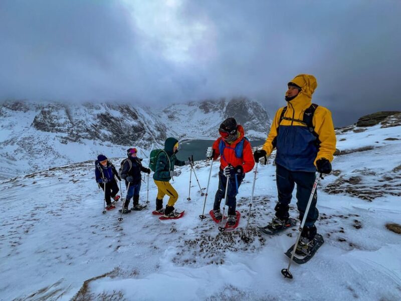 Lofoten: Half Day Snowshoe Tour - Value and Considerations