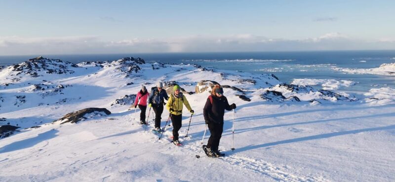 Lofoten: Half Day Snowshoe Tour - Final Thoughts