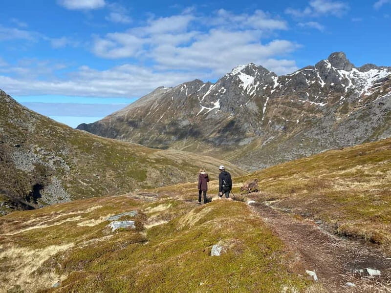 Lofoten Islands: Guided Hiking Into the Wilderness-Easy Tour - Key Points