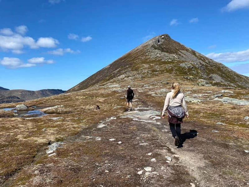 Lofoten Islands: Guided Hiking Into the Wilderness-Easy Tour - Starting Point and Practicalities