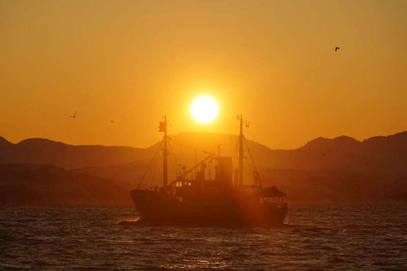 Lofoten Islands: Skrova Dinner Cruise - Who is This Tour Best For?