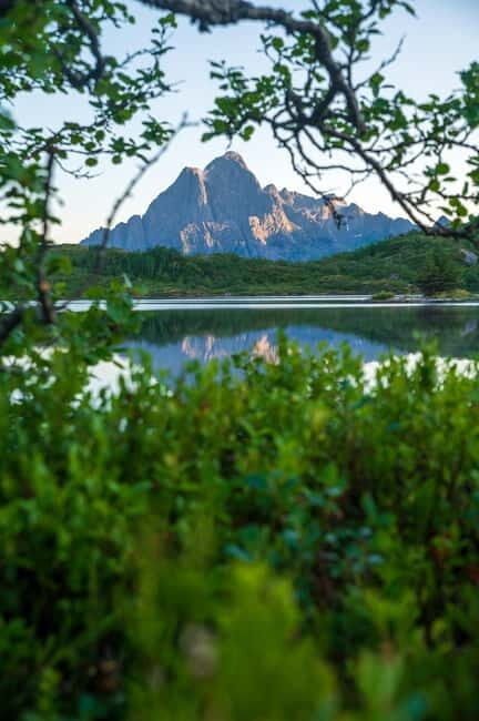 Lofoten: Midnight Magic Tour with Snacks and Drinks - Key Points