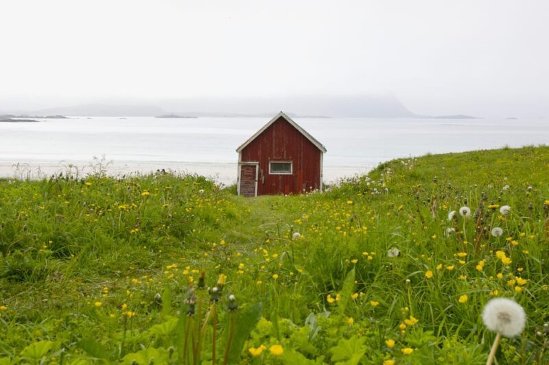 Lofoten: Private tour for cruise visitors (from Leknes) - Why Choose a Private Tour in Lofoten?