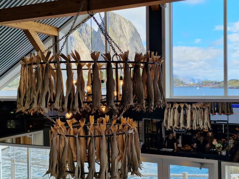 Lofoten: Reine, Hamnøy, and Skariskøya Photo Tour - The Sum Up