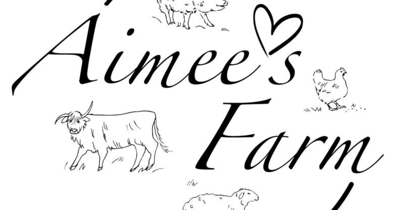 Lofoten (Stamsund and Leknes): Aimees Farm Experience - An In-Depth Look at Aimees Farm Experience