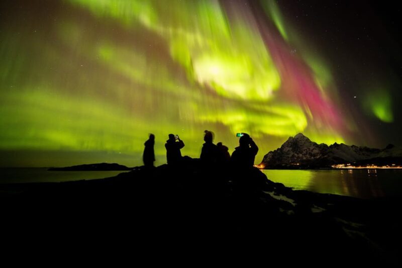 Lofoten: The Aurora Jæger  Northern Lights Hunt with Local - Authentic Reviews and What Travelers Say
