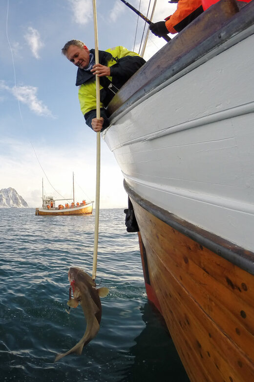 Lofoten: Traditional Fishing Trip - Exploring the Lofoten: Traditional Fishing Trip – A Genuine Norwegian Adventure
