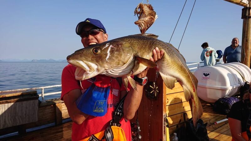 Lofoten: Traditional Fishing Trip - Frequently Asked Questions