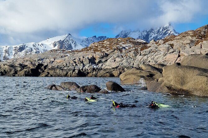 Lofoten Unique Snorkeling Experience in Dry Suit - What Makes This Snorkeling Tour Special?
