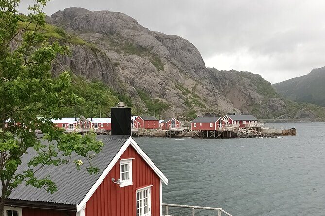 Lofoten VIP PRIVATE Tour from Leknes city / port - The Allure of Lofoten: What Makes This Tour Special