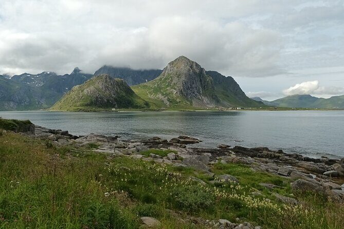 Lofoten VIP PRIVATE Tour from Leknes city / port - The Experience: What Travelers Are Saying