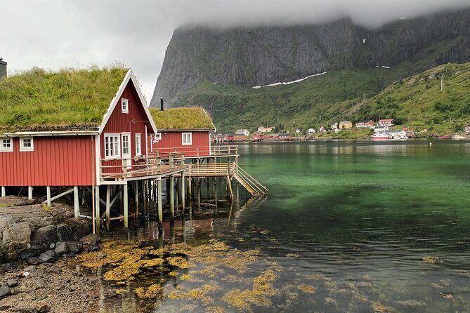 Lofoten VIP PRIVATE Tour from Leknes city / port - Practical Details & Considerations