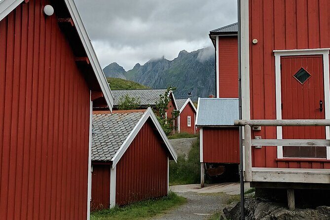 Lofoten VIP PRIVATE Tour from Leknes city / port - The Sum Up