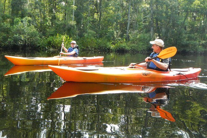 Lofton Creek Kayaking Trip with Professional Guide - Practical Considerations