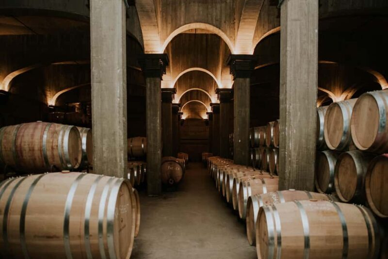 Logroño: Guided visit with tasting of 3 wines and appetizer at Viña Ijalba. - Key Points