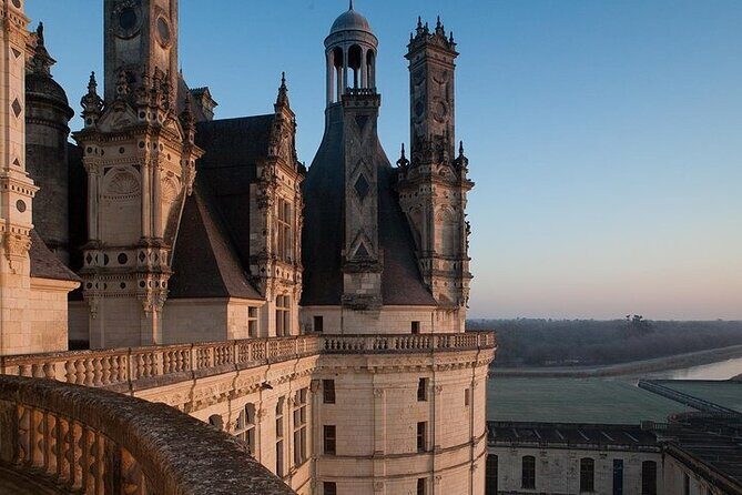 Loire Valley Castles and Wineries Private VIP Day Trip with Lunch - Wine Tasting and Vineyard Insights