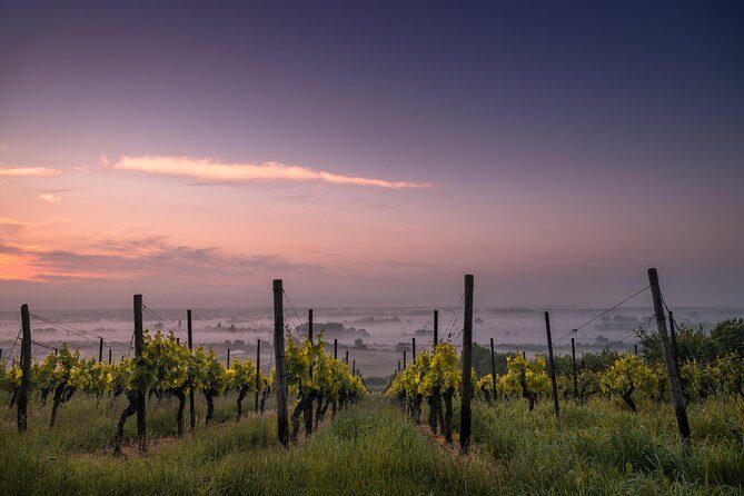 Loire Valley Castles and Wineries Private VIP Day Trip with Lunch - Who Will Love This Tour?