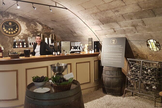 Loire Valley Castles Private Tour From Paris/skip-the-line ticket - Potential Drawbacks and Considerations