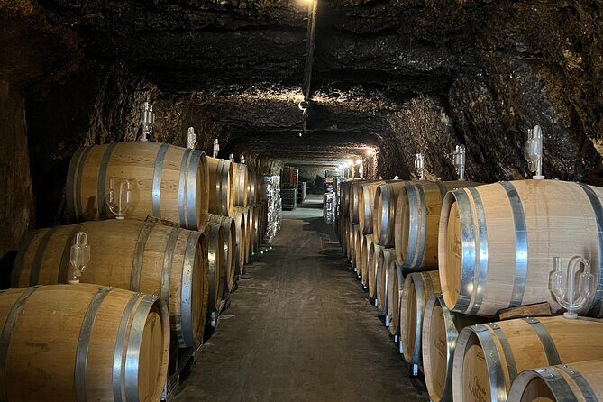 Loire Valley Chambord Castle and Wine Tasting from Paris - Who Will Love This Tour?