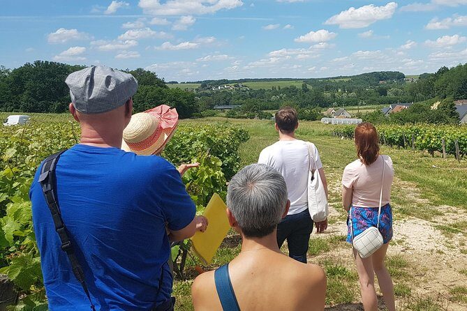 Loire Valley Day from Amboise : Azay le Rideau, Villandry, Winery - The Sum Up