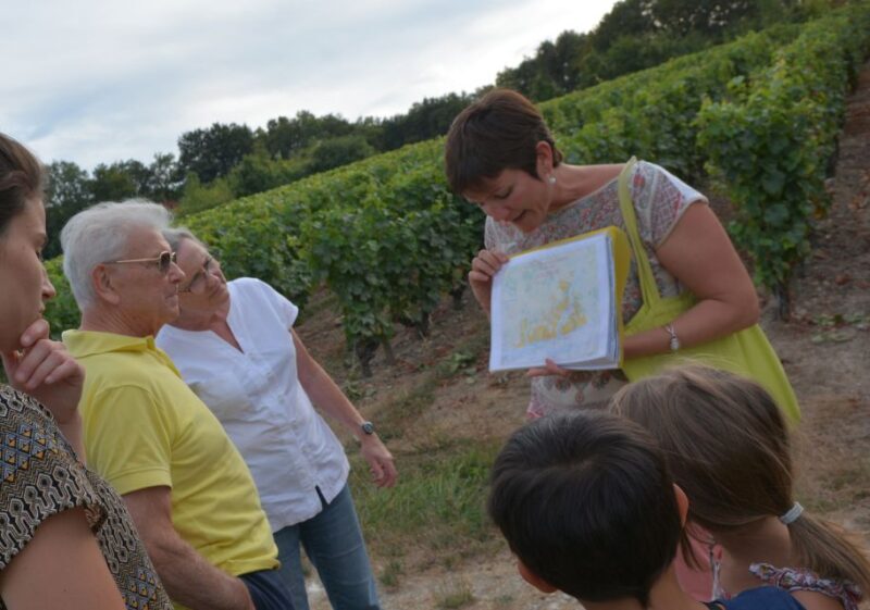 Loire Valley: Vouvray Vineyard Tour and Wine Tasting - Discovering the Loire Valley’s Vouvray: An In-Depth Review