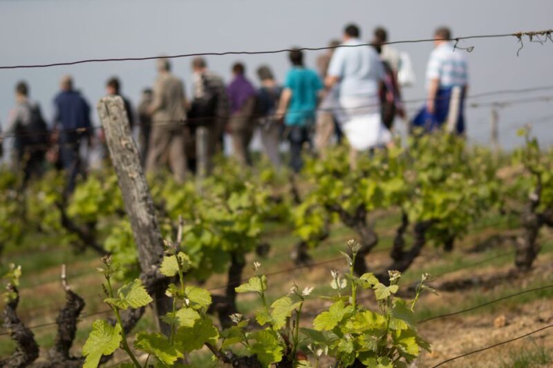 Loire Valley: Vouvray Vineyard Tour and Wine Tasting - Frequently Asked Questions