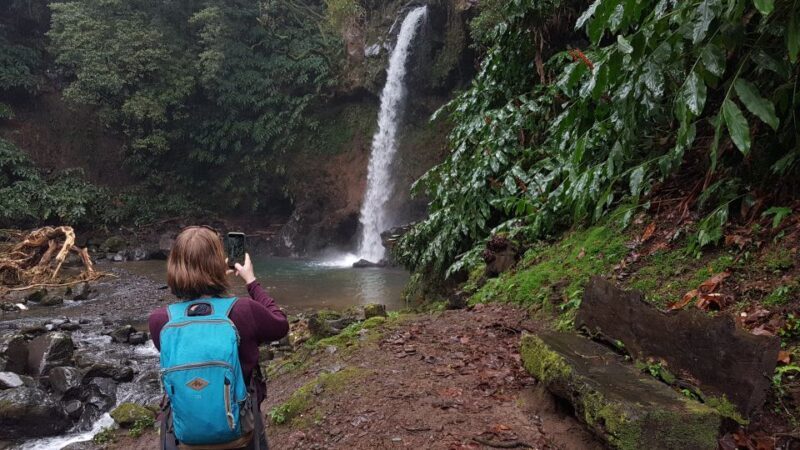 Lomba de São Pedro: Waterfall Hiking Tour with Tea Tasting - What Makes This Tour Stand Out