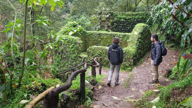 Lomba de São Pedro: Waterfall Hiking Tour with Tea Tasting - Guides and Group Dynamics