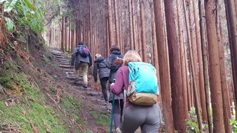 Lomba de São Pedro: Waterfall Hiking Tour with Tea Tasting - Transportation and Duration