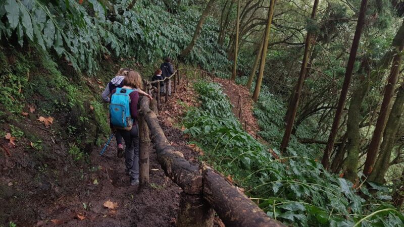 Lomba de São Pedro: Waterfall Hiking Tour with Tea Tasting - What to Bring and Wear