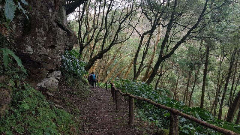 Lomba de São Pedro: Waterfall Hiking Tour with Tea Tasting - Who Should Consider This Tour?