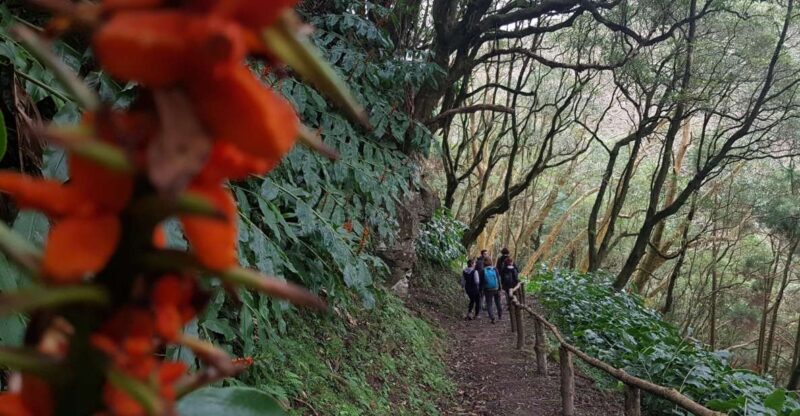 Lomba de São Pedro: Waterfall Hiking Tour with Tea Tasting - The Value of the Experience