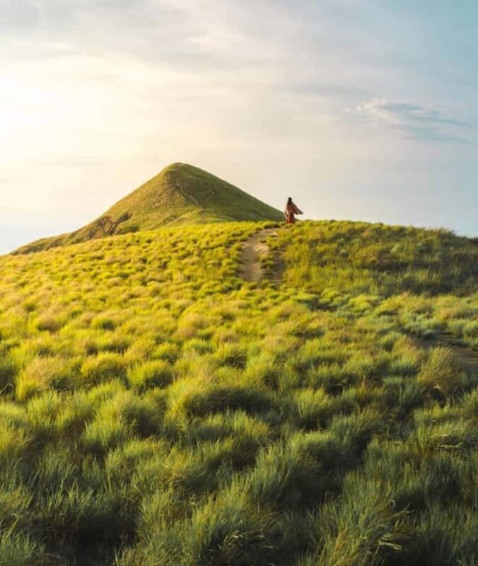 Lombok: 2-Day Whale Shark Snorkeling & Kenawa Island Tour - What to Expect: A Detailed Breakdown