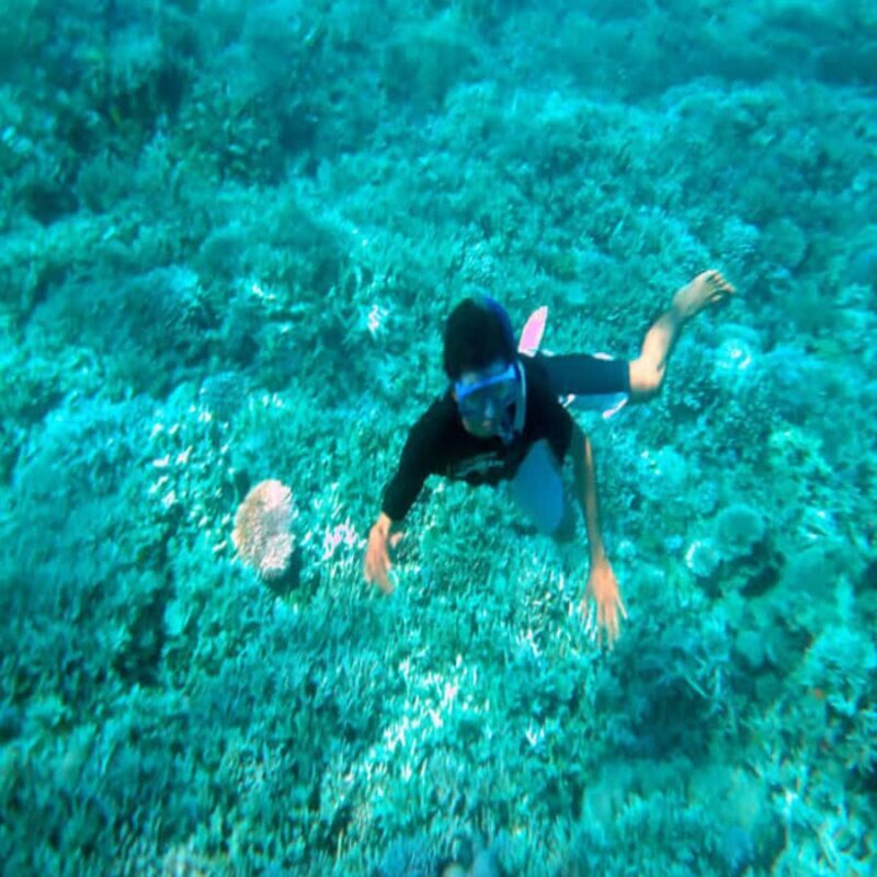 Lombok: 2-Day Whale Shark Tour with Camping & BBQ - An In-Depth Look at the Tour