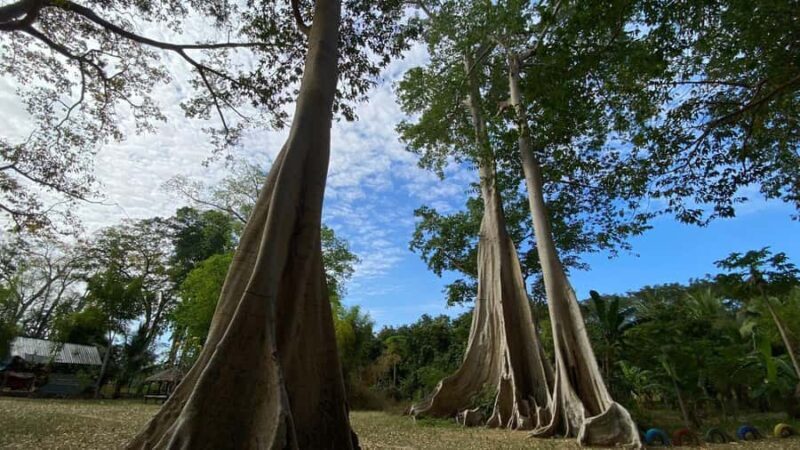 Lombok: 3-Day Hidden Gems Tour with Hotel & Private Car - FAQs