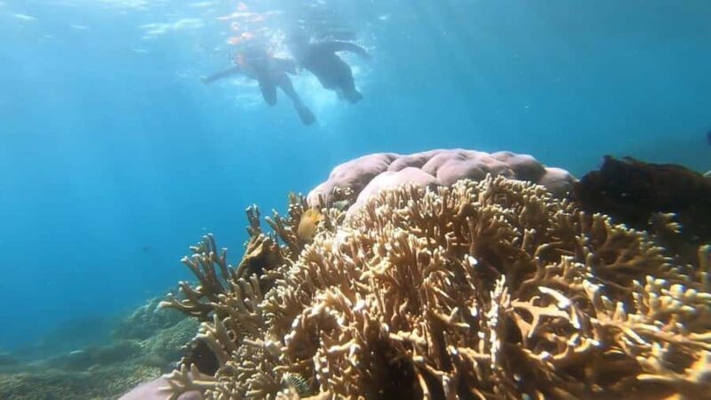 Lombok: 3 Secret Gili Snorkeling Trip & Traditional Heritage - Practical Details: What You Need to Know