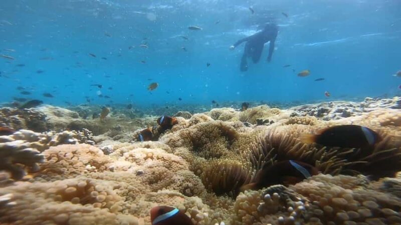 Lombok: 3 Secret Gili Snorkeling Trip & Traditional Heritage - Who Will Love This Tour?
