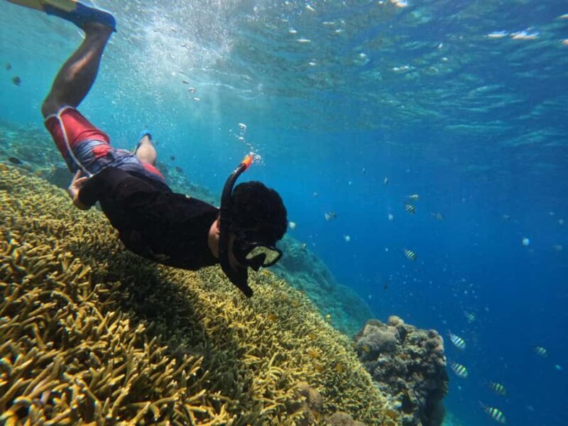 Lombok: 3 Secret Gili Snorkeling Trip & Traditional Heritage - FAQs
