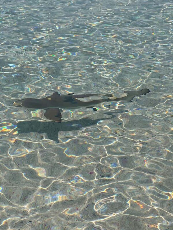 Lombok: 4-Day Sea Nomad Adventure to Labuan Bajo - FAQs